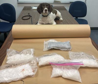 Police dog sniffs out crystal meth, two men arrested | News ...