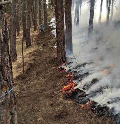 Let it burn: Chiloquin landowner lights his own prescribed burn | Local ...