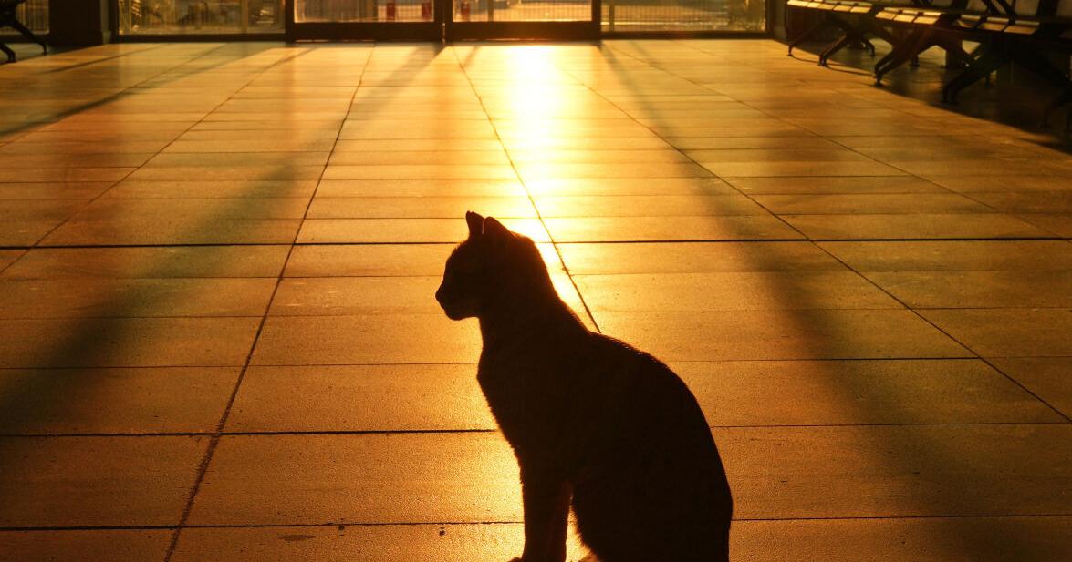 Top Vertical Photos Photo Gallery | Associated Press | heraldandnews.com