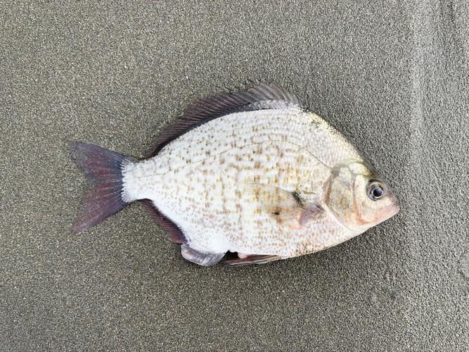 Open windows and closed doors | Outdoors | heraldandnews.com