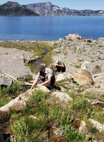 Scientists work to keep Oregon’s Crater Lake clear for years to come ...