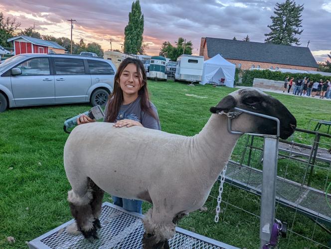 It’s showtime at the 2023 Tulelake-Butte Valley Fair | News ...