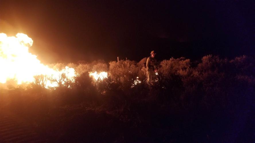 Containment increases on Brattain Fire | Local News | heraldandnews.com