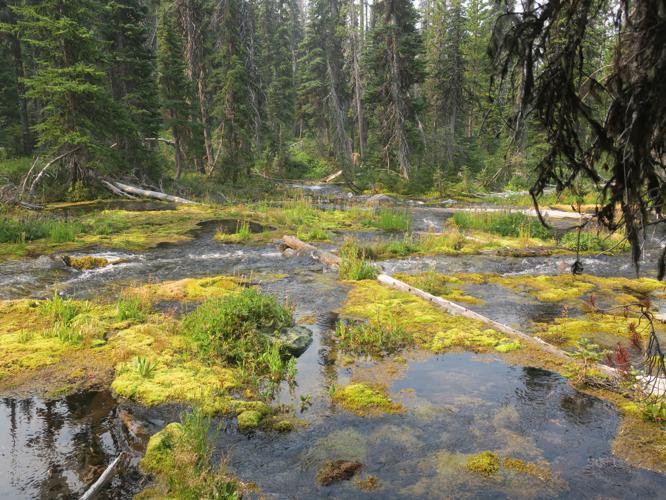 Eternal hope of Ranger Spring | Outdoors | heraldandnews.com