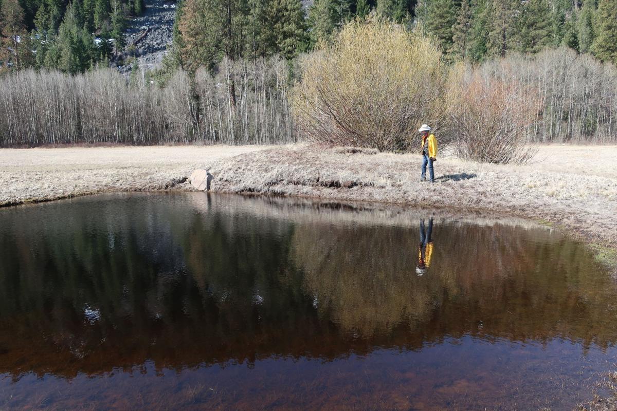 A visit to bearless, wallowless Bear Wallow | Outdoors | heraldandnews.com