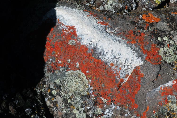 What's the point at Modoc Point? | Outdoors | heraldandnews.com