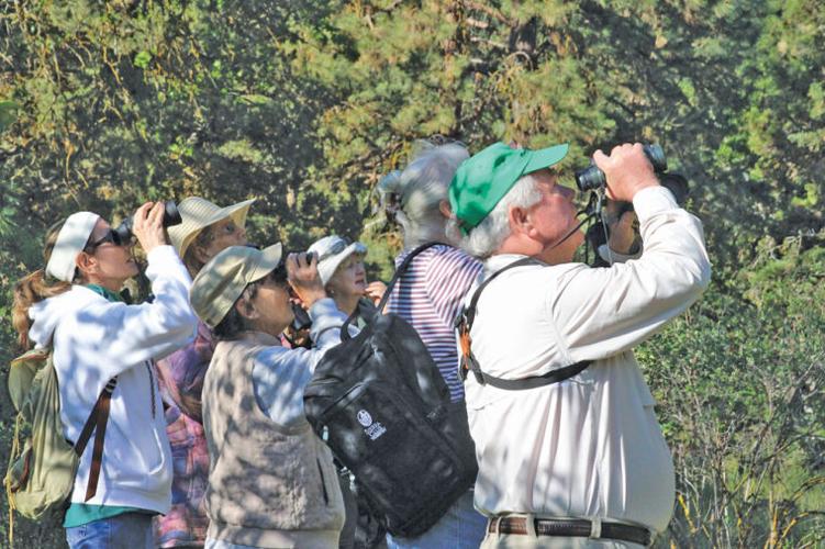 Novice birders experience Skillet Handle trail, Upper Klamath Lake ...