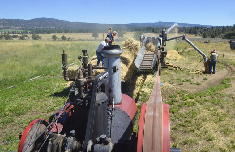 Hildebrand Threshing Bee brings antique farm equipment back to life ...
