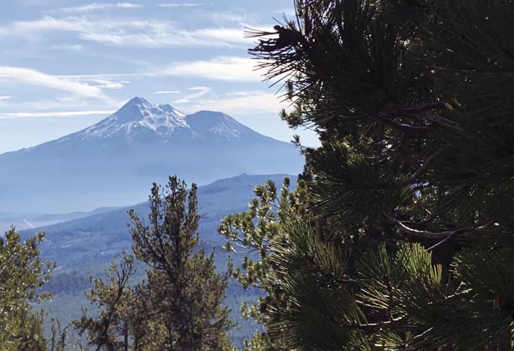 Plotting a way back: Revisiting the Goosenest | Outdoors ...