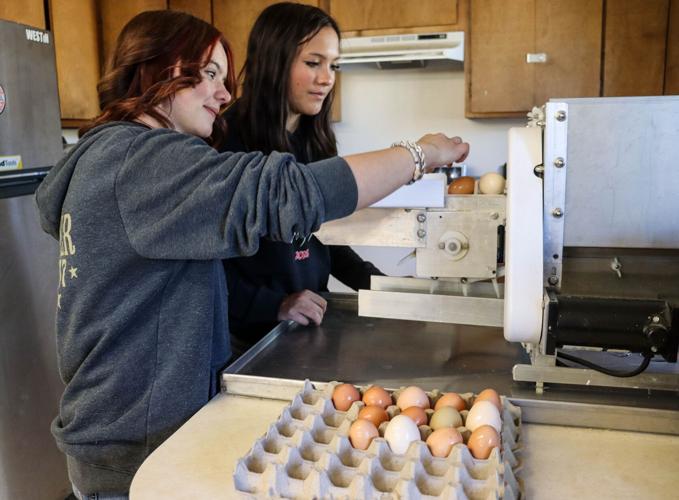 Bonanza Jr./Sr. High expands ag science program to include sheep ...