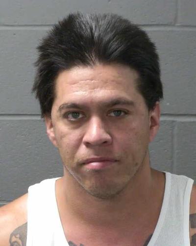 Public safety: Landlord gets probation for death of tenant’s dog | News ...