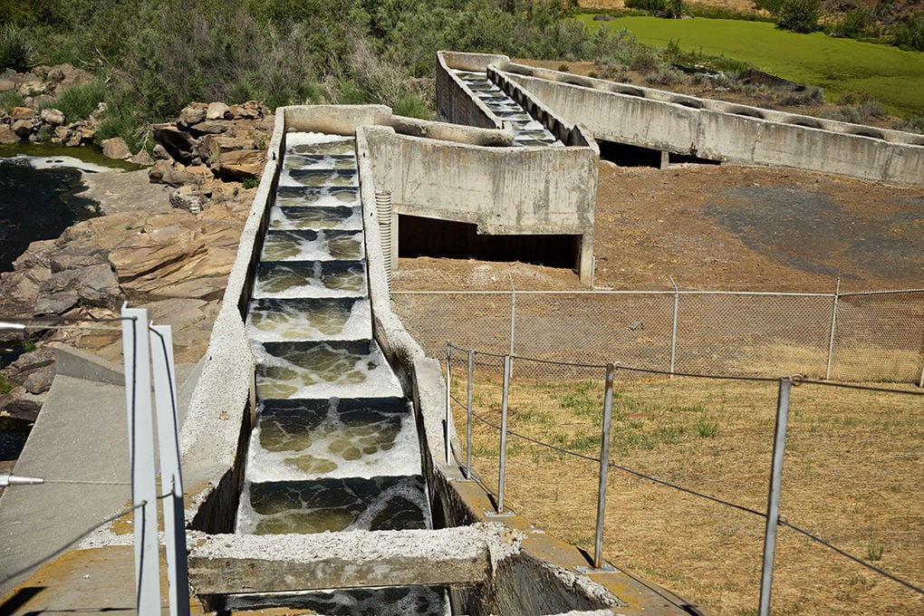 Object Lesson: John C. Boyle Dam fish ladder | Community ...