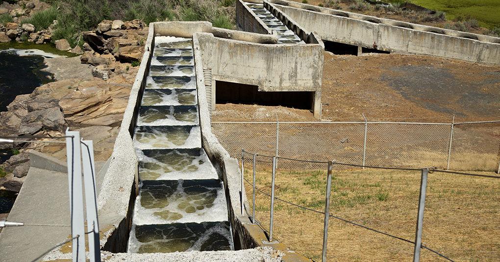 Object Lesson: John C. Boyle Dam fish ladder | Local News ...
