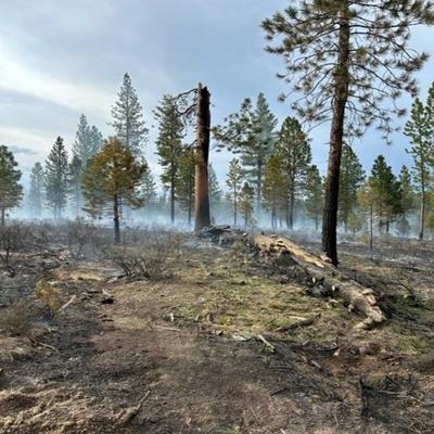 Dillon Creek fire fully contained; recent lightning sparks second blaze ...