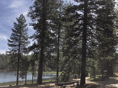 Fremont-Winema seeks campground hosts for summer season | Local News ...