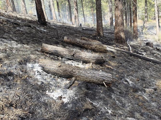 Let it burn: Chiloquin landowner lights his own prescribed burn | Local ...