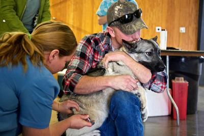 Klamath County suffers serious lack of veterinary care | News ...