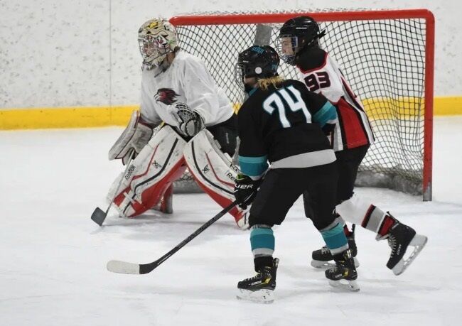 Column: Klamath Falls Ice Hawks' 14-under team displays championship ...