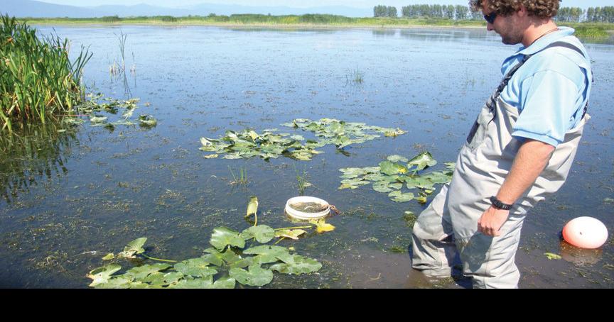 Wocus revival | Email Blast | heraldandnews.com