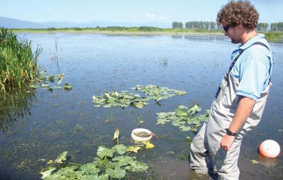 Wocus revival | Email Blast | heraldandnews.com