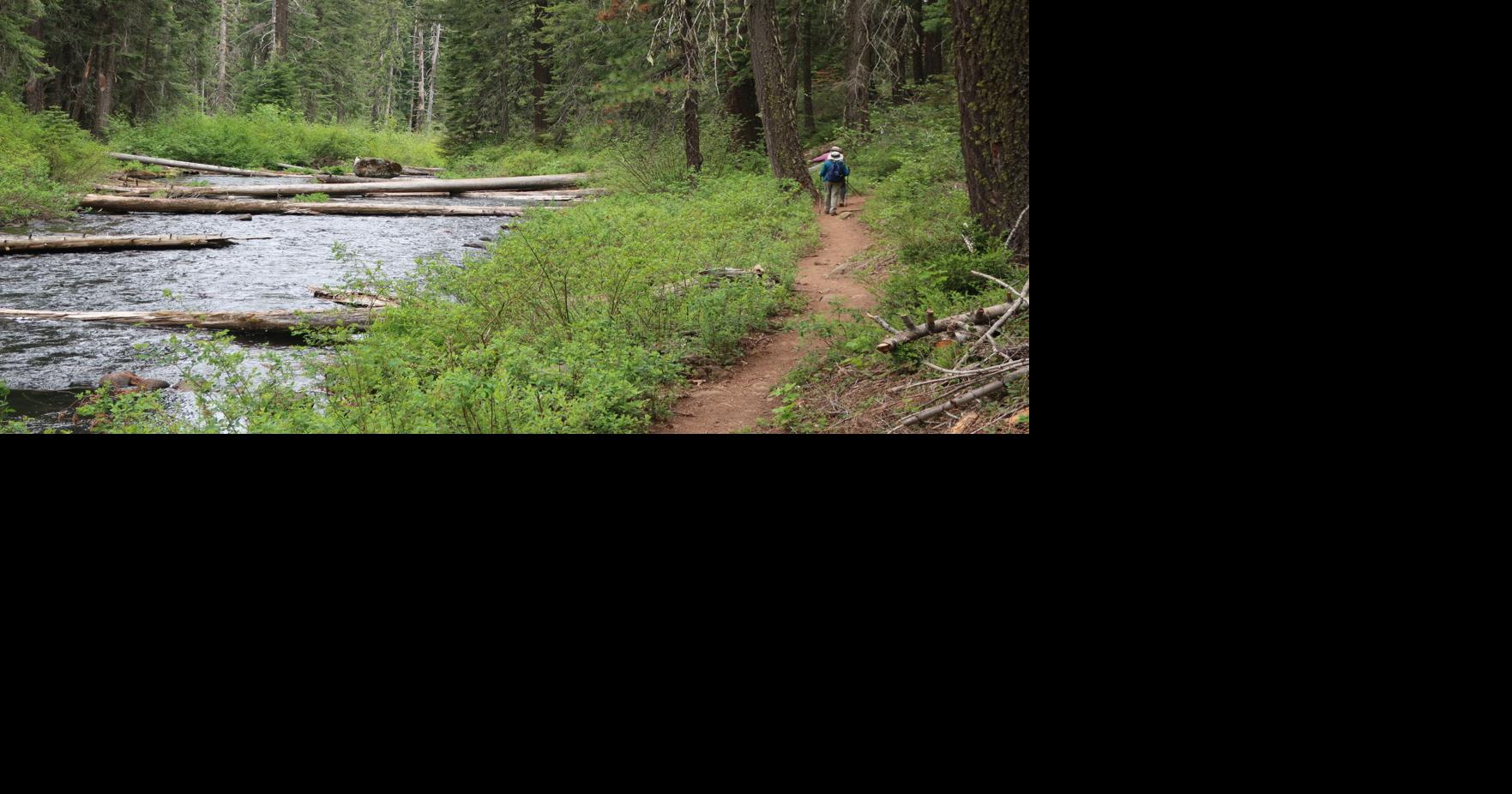 Food and flowers along Fish Lake Trail | Outdoors | heraldandnews.com