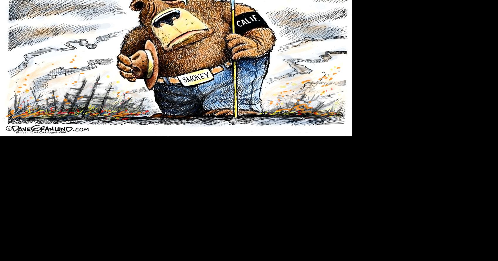 Much too much | Cartoons | heraldandnews.com