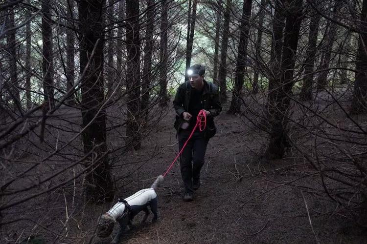 A ruff competition at the 2026 Joriad Truffle Dog Championship | News ...