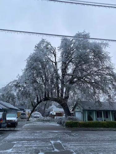 As Oregon cleans up from deadly storm, the state is still ‘awakening ...