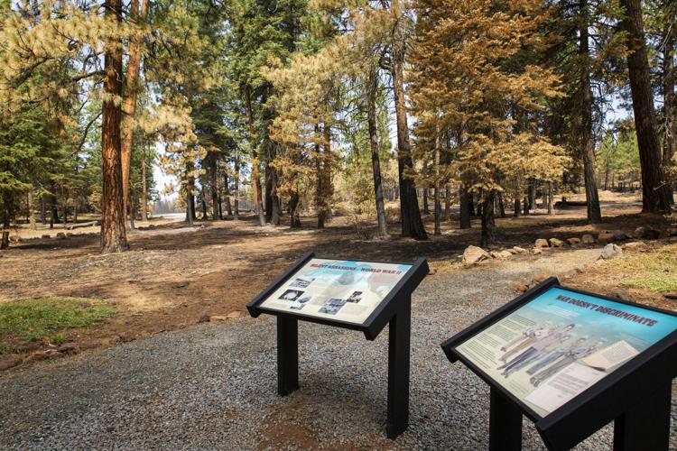 Klamath Falls logging crew helped save Mitchell Monument | Local News ...