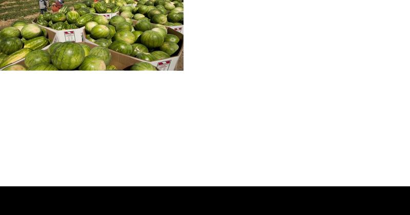 Oregonians celebrate small family farms, but they’re wary of ‘Big Ag ...