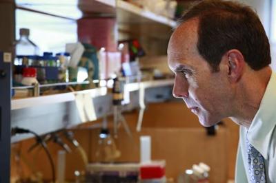 Head of OHSU Knight Cancer Institute resigns | News | heraldandnews.com