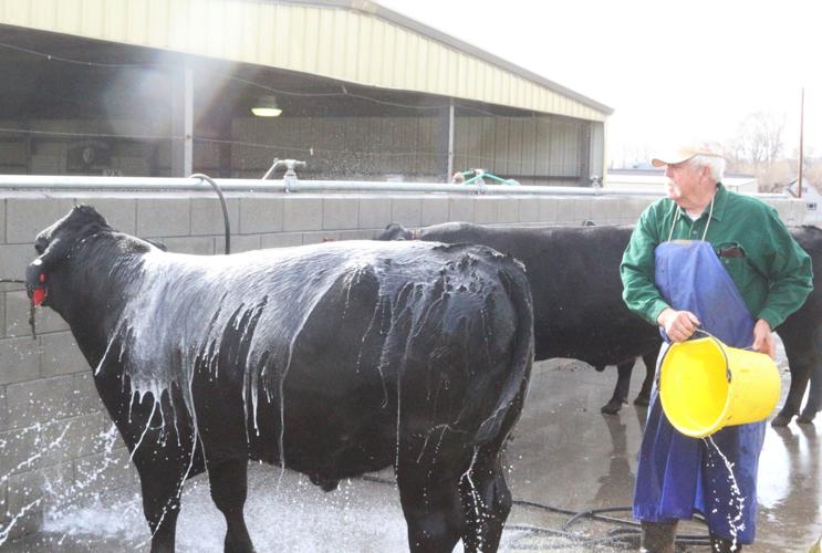 Keeping with tradition | Local News | heraldandnews.com