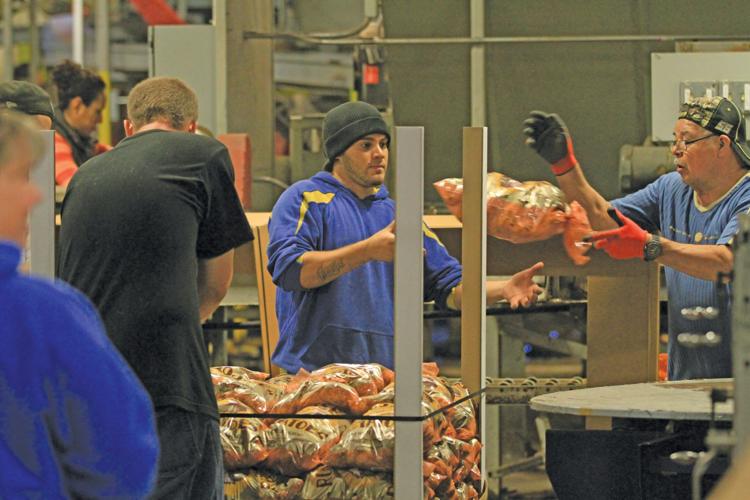 Longer growing season leads to good yields | News | heraldandnews.com