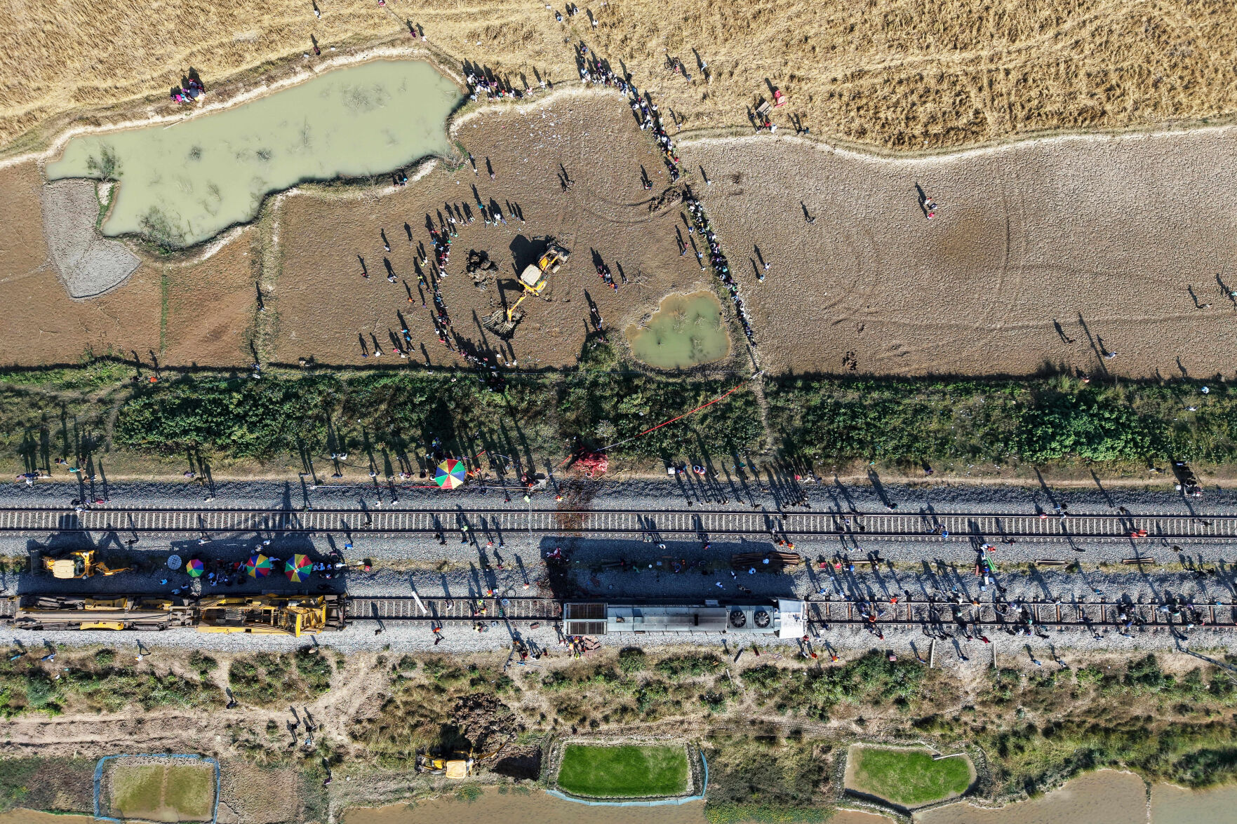 India Elephants Accident | Associated Press | heraldandnews.com