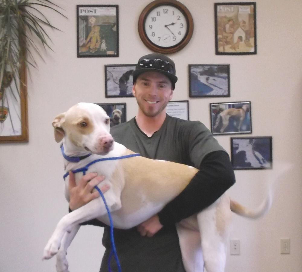 Dog reunited with owner seven months later | Email Blast ...