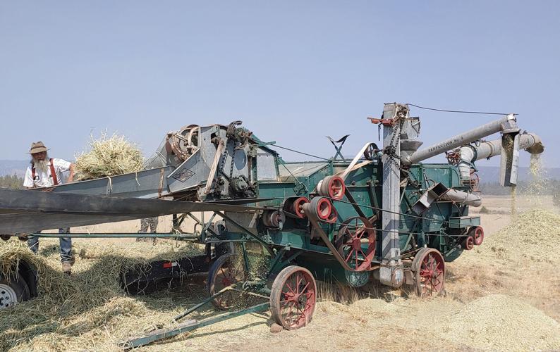 Annual Hildebrand threshing bee this weekend | News | heraldandnews.com