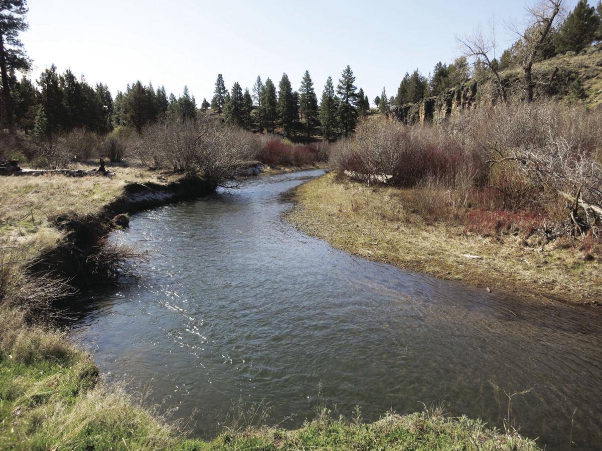 Sprague picnic area is oasis in the desert | Local News | heraldandnews.com