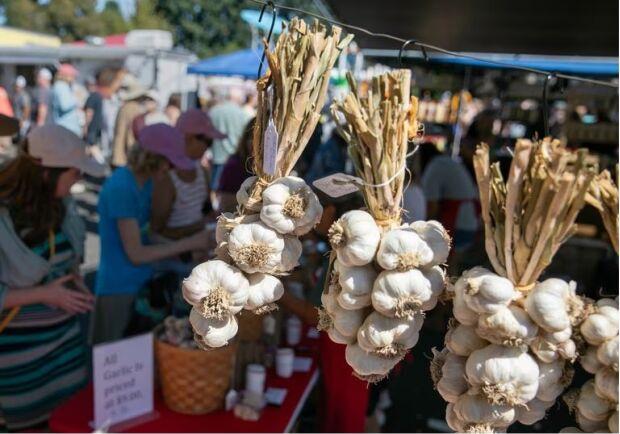 A celebration of garlic draws thousands to North Plains | News ...