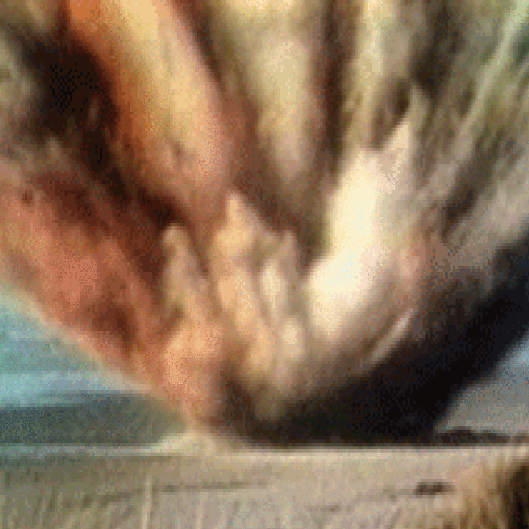 whale exploding on beach gif