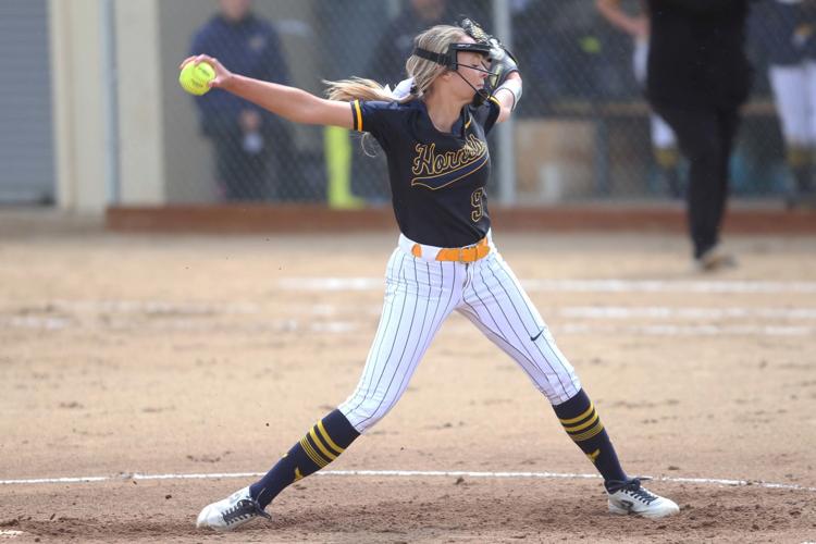 Hornets to the quarterfinals again | Sports | heraldandnews.com