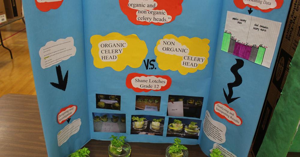 density science project board