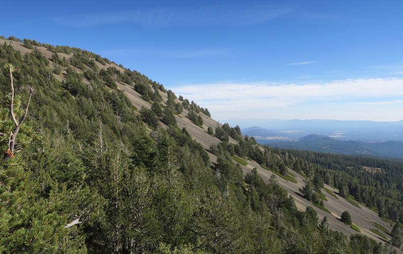 Hiking Goosenest offers tip-top views | Local News | heraldandnews.com