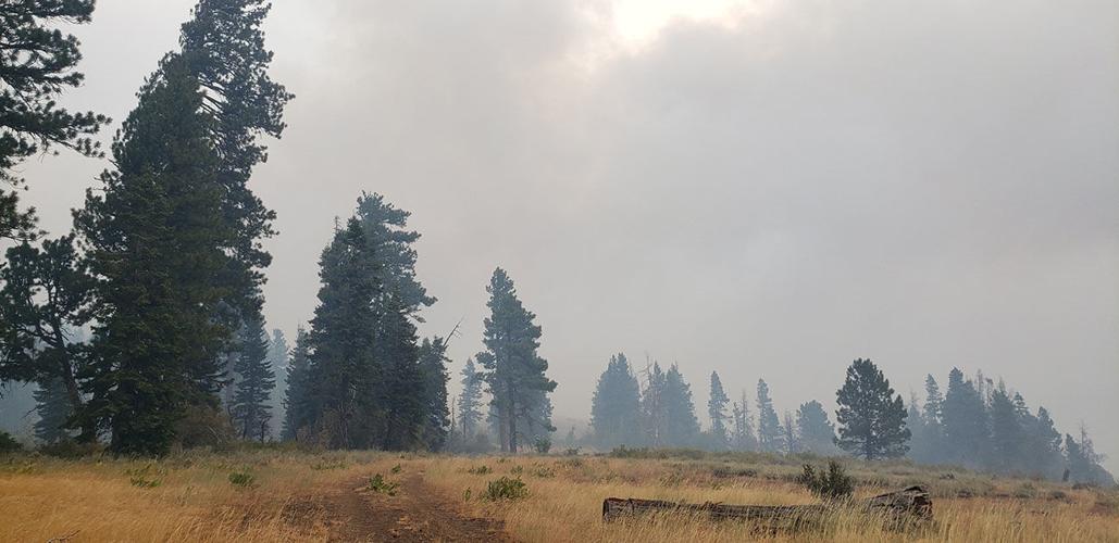Crane Fire still at 1,900 acres, no containment | Local News ...