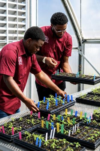 Jamaican students gain new experience in farming practices at Klamath ...