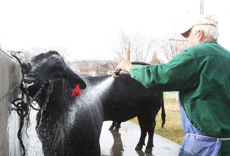 Keeping with tradition | Local News | heraldandnews.com