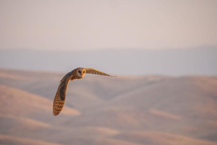 Jeremy Neipp — Bringing energy to photography | News | heraldandnews.com