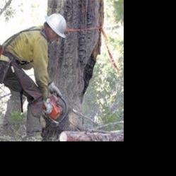Simpson fire 'suspicious' | News | heraldandnews.com