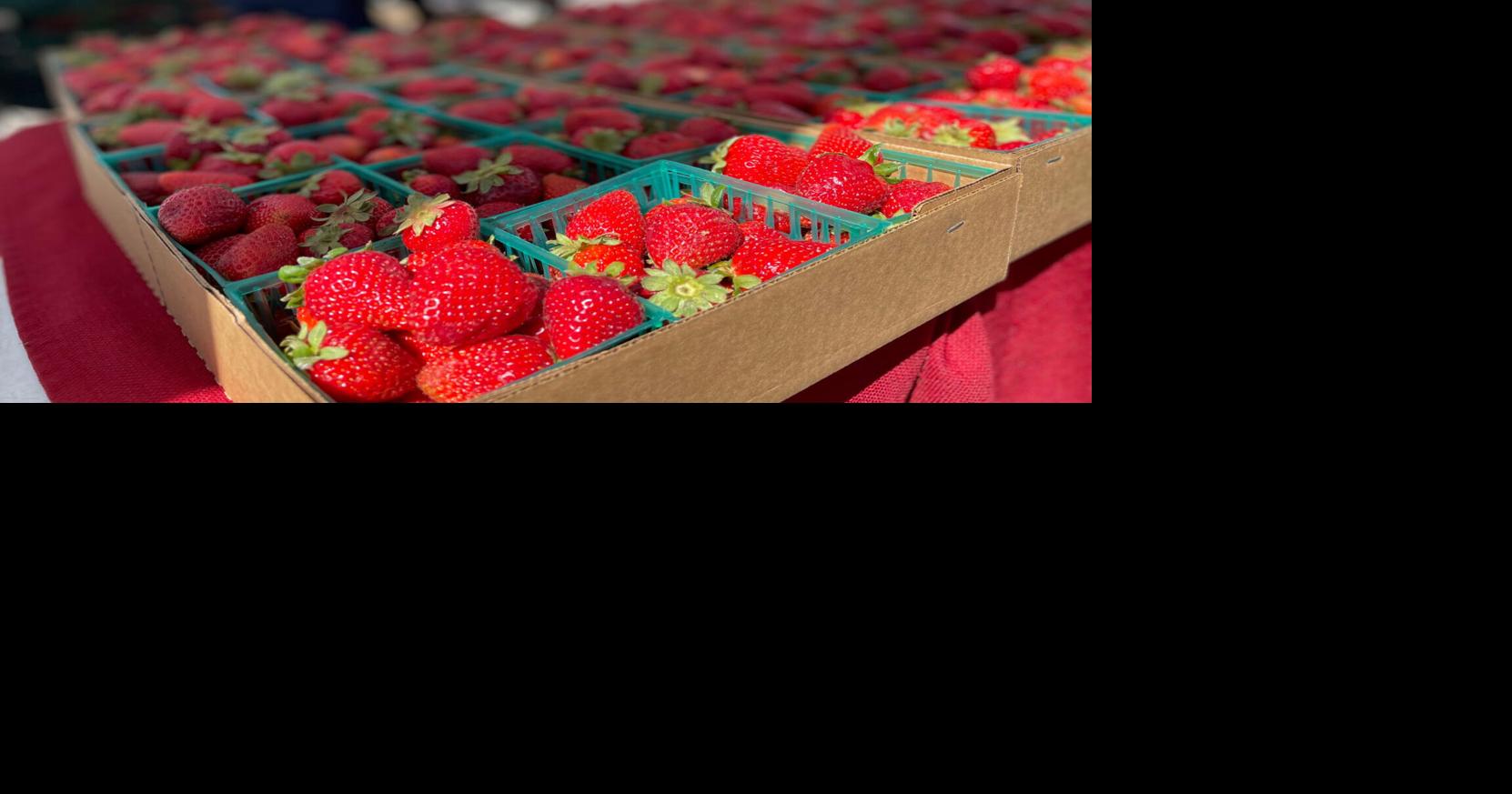 Klamath Falls Farmers Market provides fresh foods, socialization ...