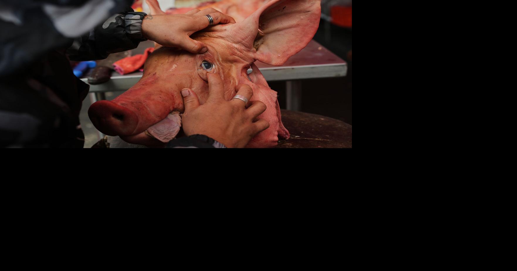 Mexico New Year | Associated Press | heraldandnews.com