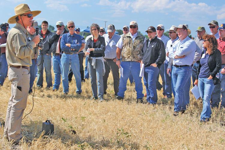 Ag Extension celebrates success | News | heraldandnews.com